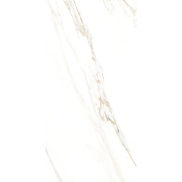 02CV60877RL VALLELUNGA CAVA КАВА 60х120 см