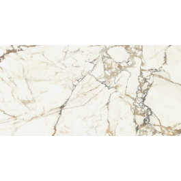 6001259 VALLELUNGA LUCE ЛЮЧЕ 60х120 см